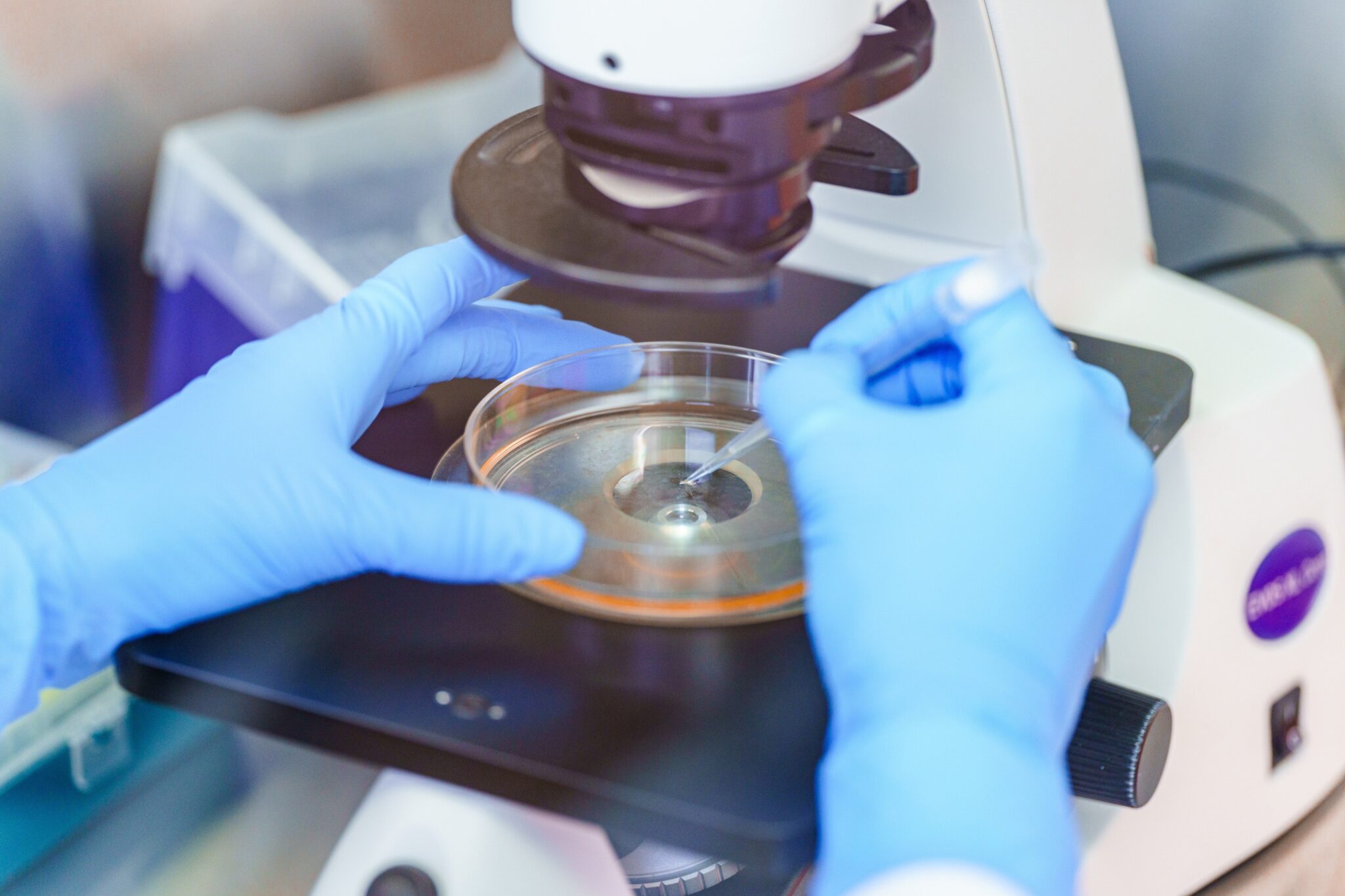 QurAlis Announces Exclusive License on Novel Mechanism for Fragile X ...